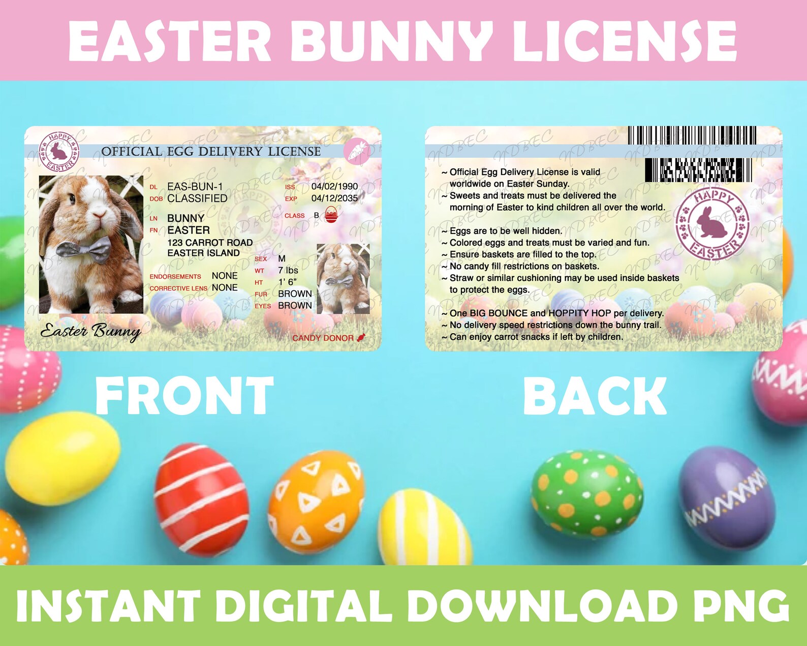 Easter Bunny License Blue PNG Sublimation Designs Instant - Etsy
