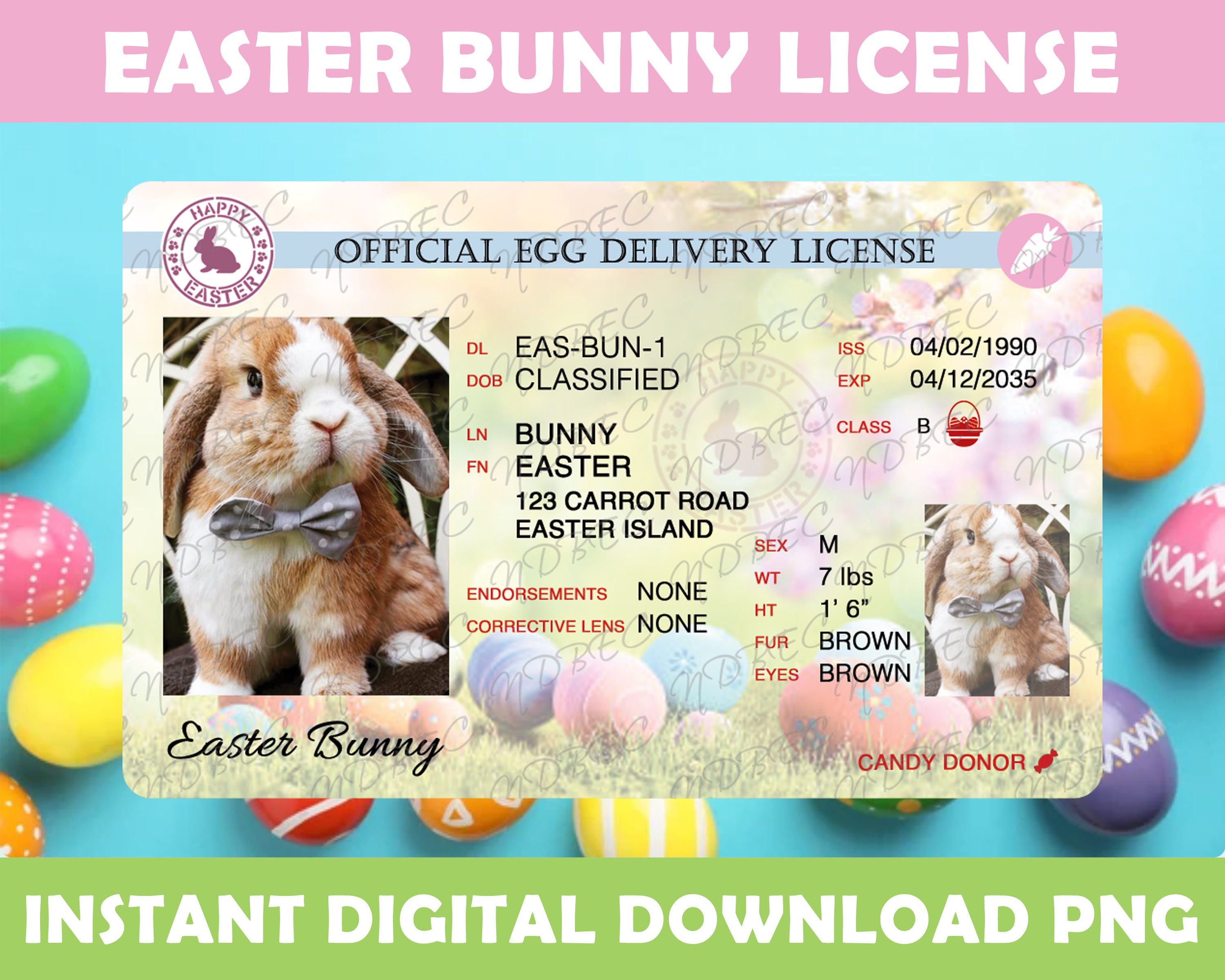 Easter Bunny License Blue PNG, Sublimation Designs, Instant Digital ...