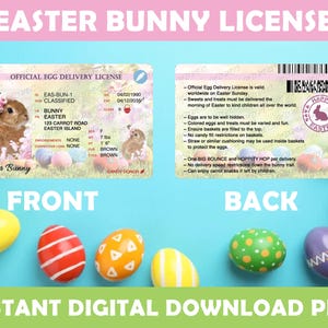 5 Pack Easter Bunny License Blue PNG, Sublimation Designs, Instant ...