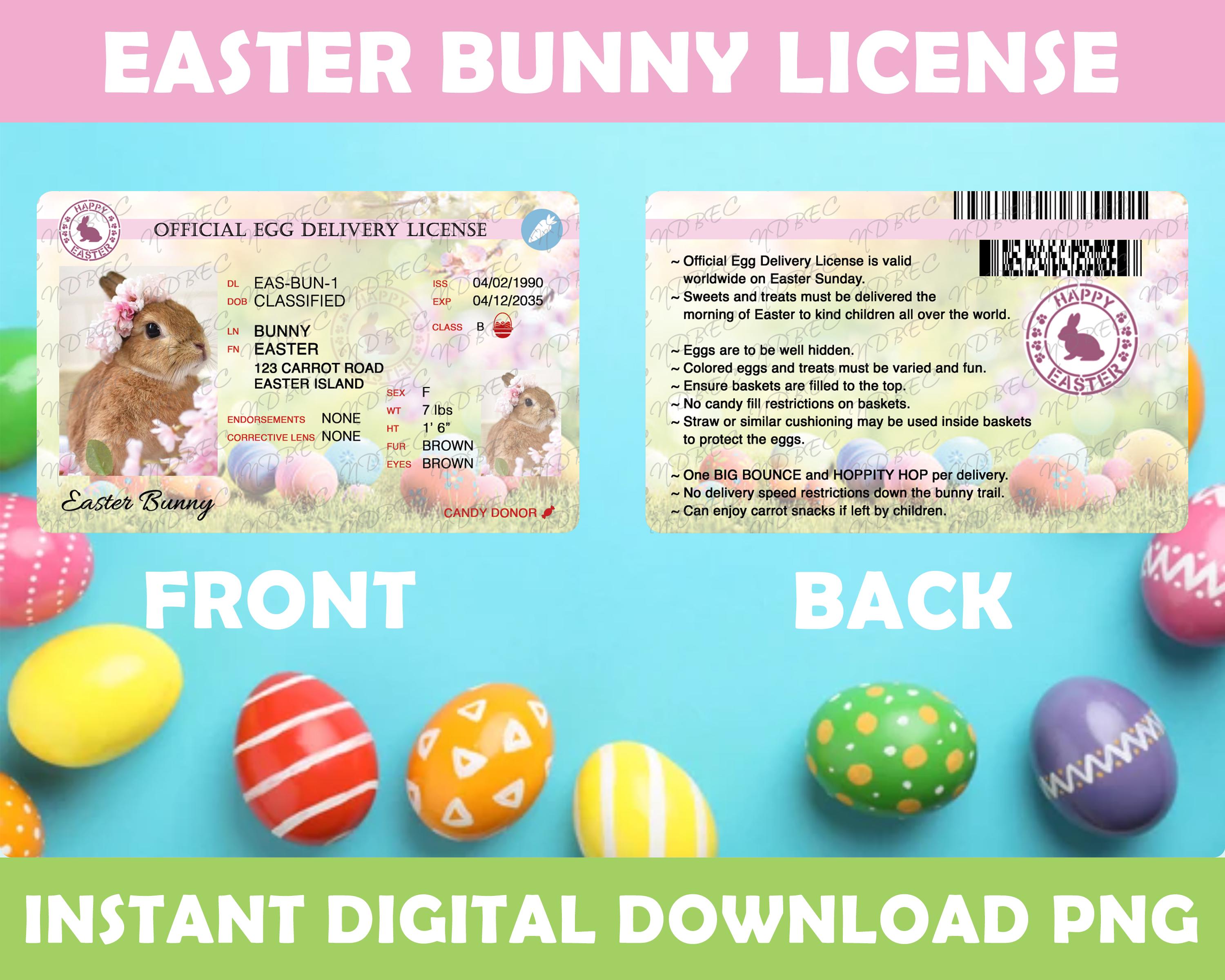 5 Pack Easter Bunny License Blue PNG, Sublimation Designs, Instant ...
