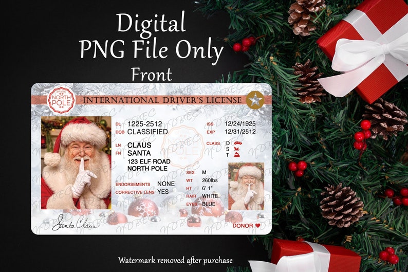 Santa Claus License PNG, RED ORNAMENT, Sublimation Designs, Instant ...