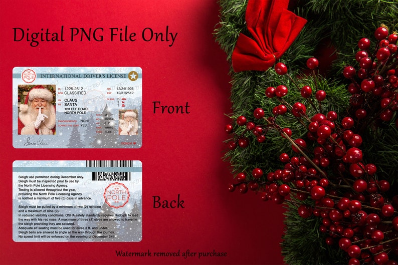 Santa Claus License PNG, BLUE TREES, Sublimation Designs, Instant ...