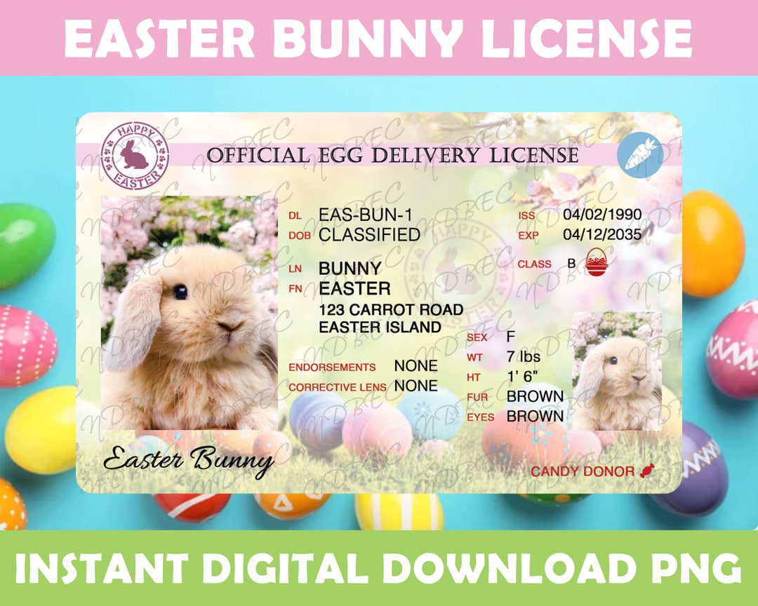 Easter Bunny License Pink PNG, Sublimation Designs, Instant Digital ...