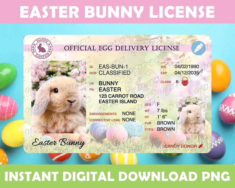 Easter Bunny License Pink PNG, Sublimation Designs, Instant Digital ...