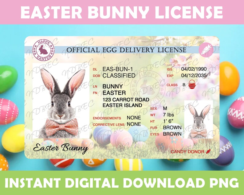 Easter Bunny License Blue PNG, Sublimation Designs, Instant Digital ...