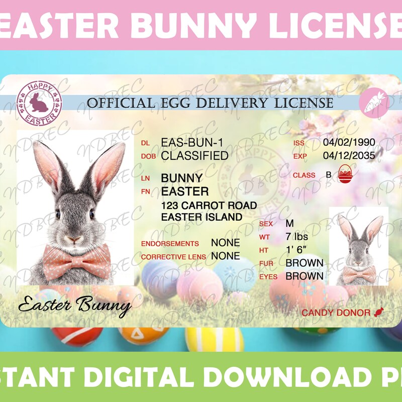 Easter Bunny - Etsy