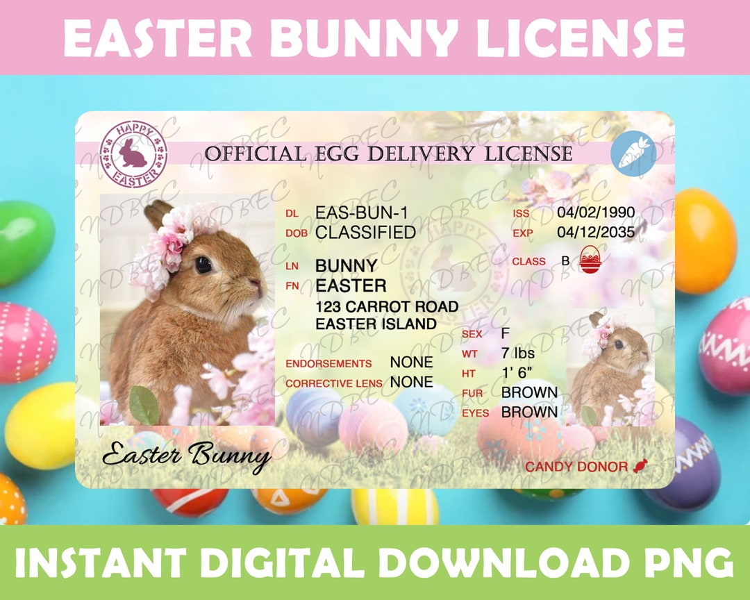 Easter Bunny License Pink PNG, Sublimation Designs, Instant Digital ...