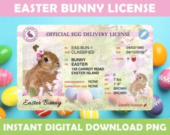 Easter Bunny License Blue PNG, Sublimation Designs, Instant Digital ...