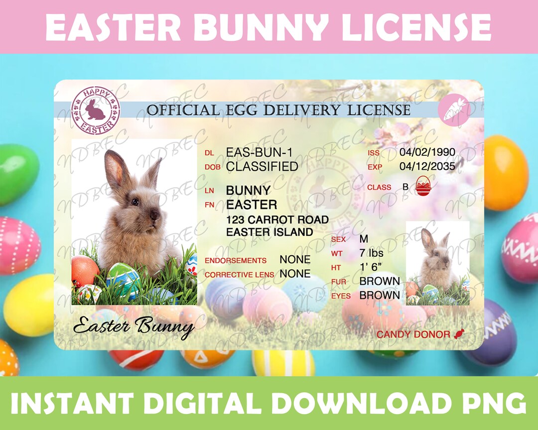 Easter Bunny License Blue PNG, Sublimation Designs, Instant Digital ...