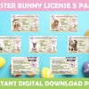 Easter Bunny License Blue PNG, Sublimation Designs, Instant Digital ...