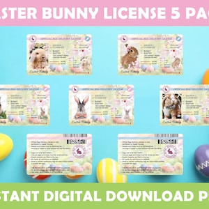 5 Pack Easter Bunny License Blue PNG, Sublimation Designs, Instant ...