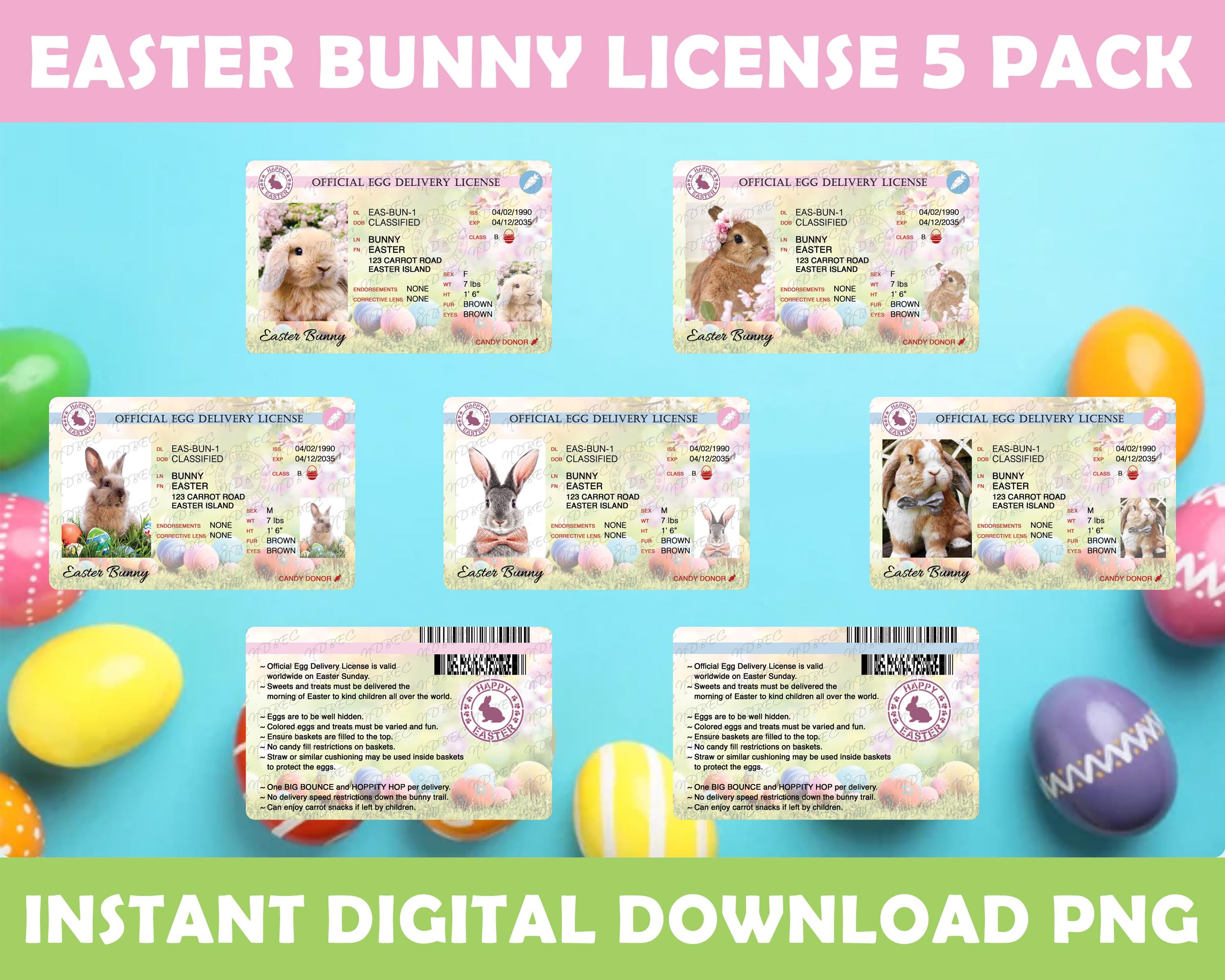 5 Pack Easter Bunny License Blue PNG, Sublimation Designs, Instant ...