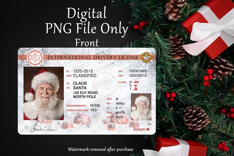 Santa Claus License PNG RED ORNAMENT Sublimation Designs - Etsy