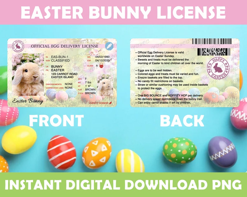 Easter Bunny License Pink PNG, Sublimation Designs, Instant Digital ...