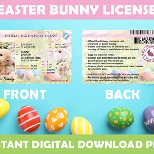 5 Pack Easter Bunny License Blue PNG, Sublimation Designs, Instant ...