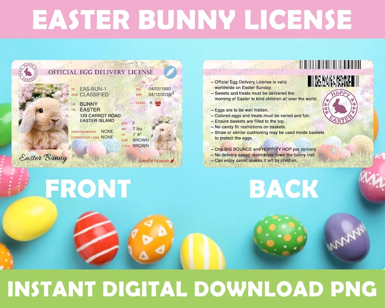 5 Pack Easter Bunny License Blue PNG, Sublimation Designs, Instant ...