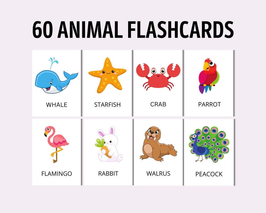 60 Animal Flashcards Animal Printable Flashcards Preschool - Etsy