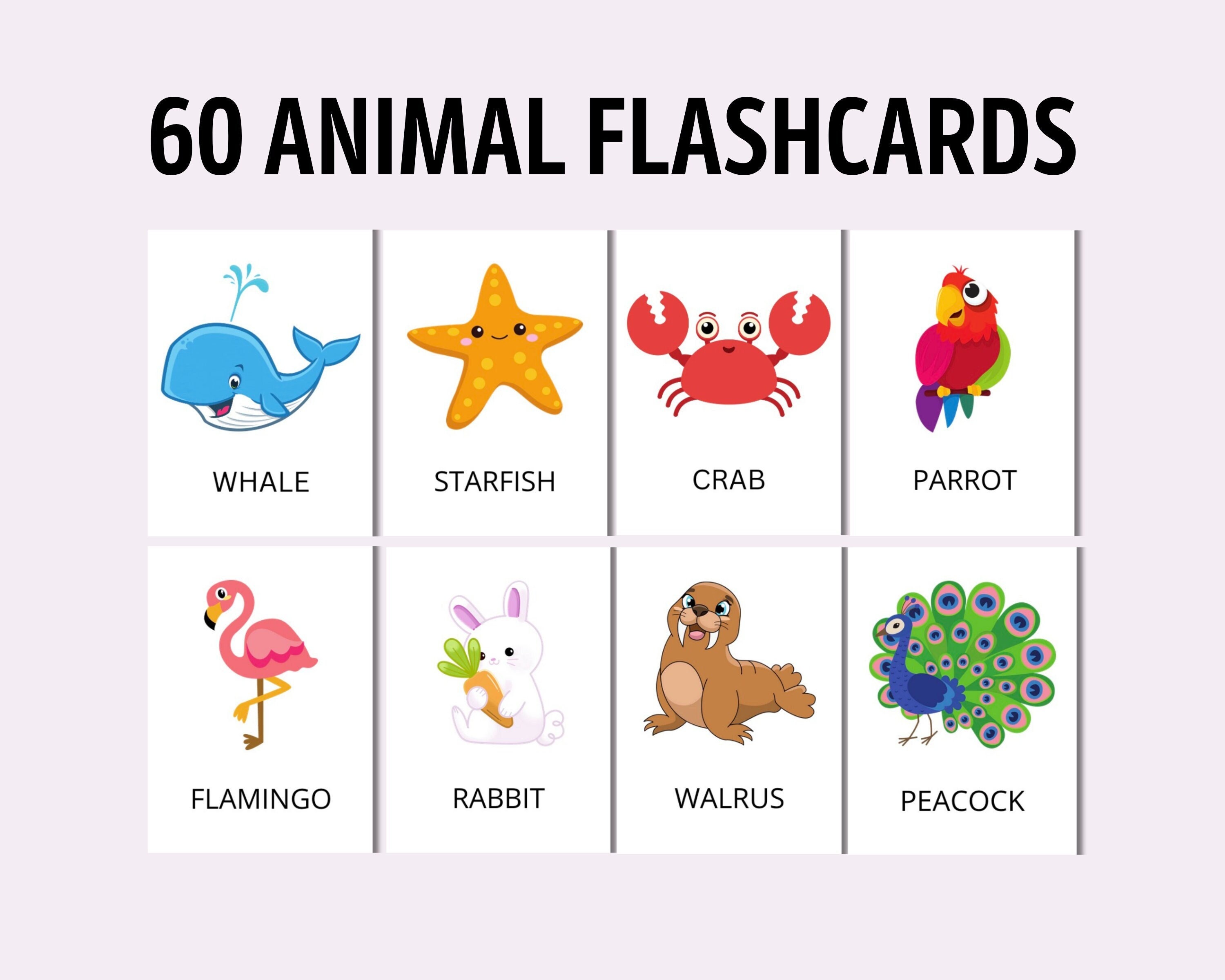 60 Animal Flashcards, Animal Printable Flashcards, Preschool Flashcards ...