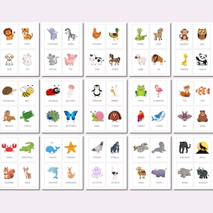 60 Animal Flashcards, Animal Printable Flashcards, Preschool Flashcards ...