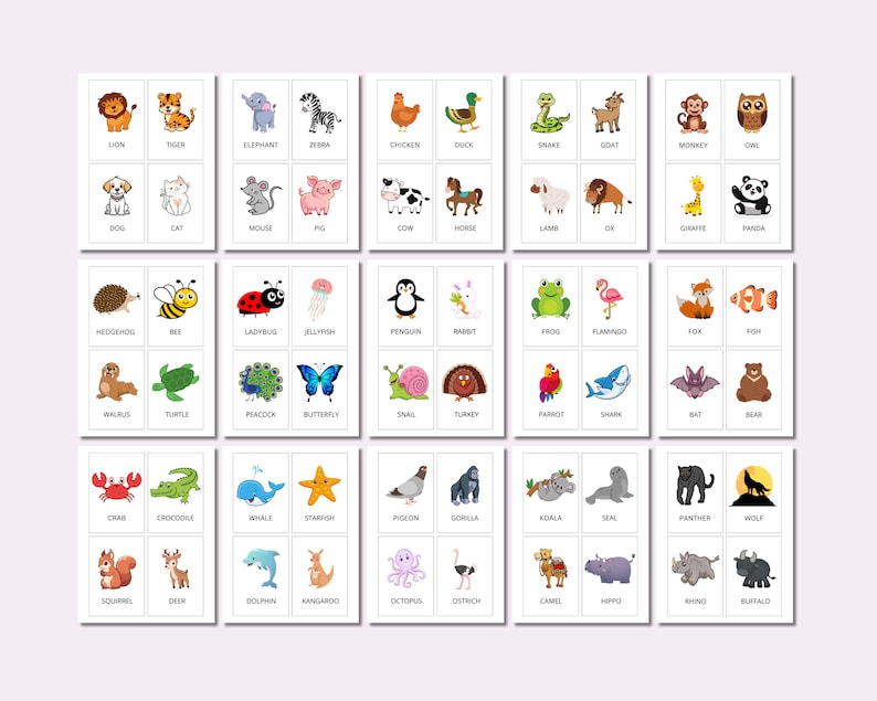 60 Animal Flashcards: Printable Learning Cards - Etsy