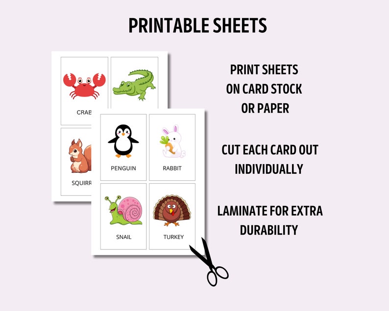 60 Animal Flashcards: Printable Learning Cards - Etsy