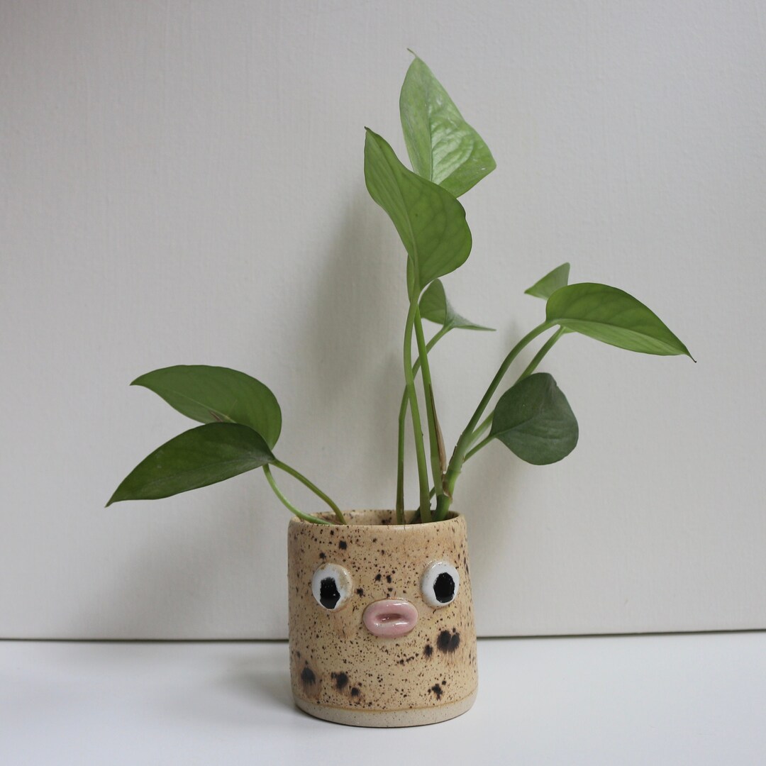 Awk Pot Handmade Ceramic Face Plant Pot - Etsy