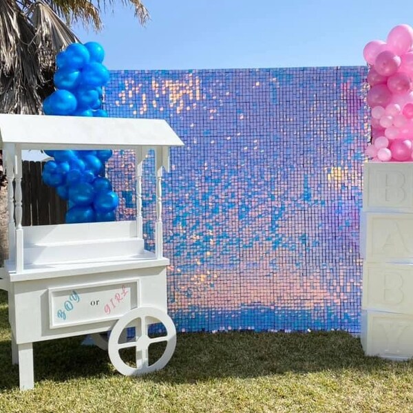 Shimmer Wall Backdrop - Etsy