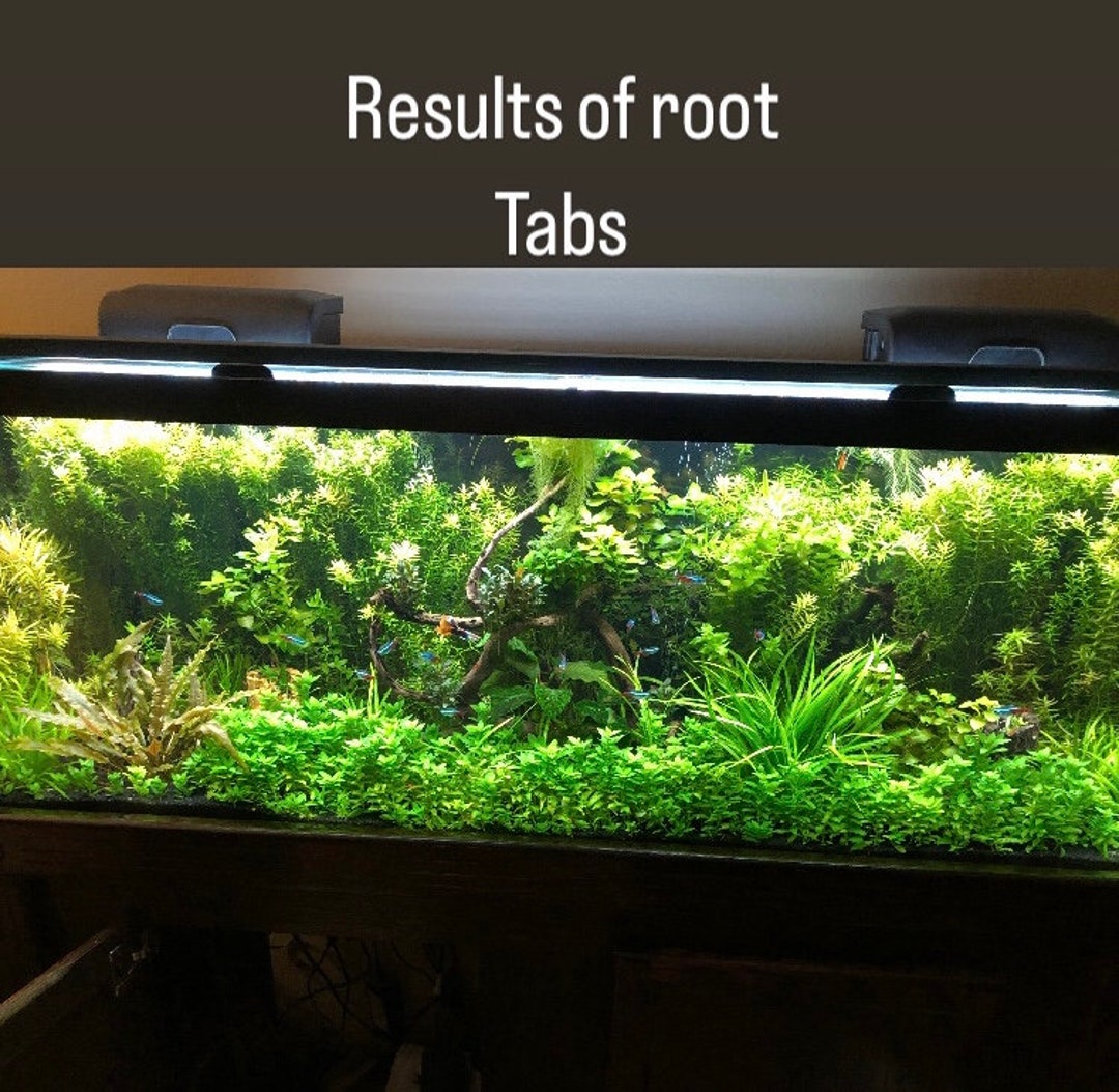 Aquarium Root Tabs - Etsy
