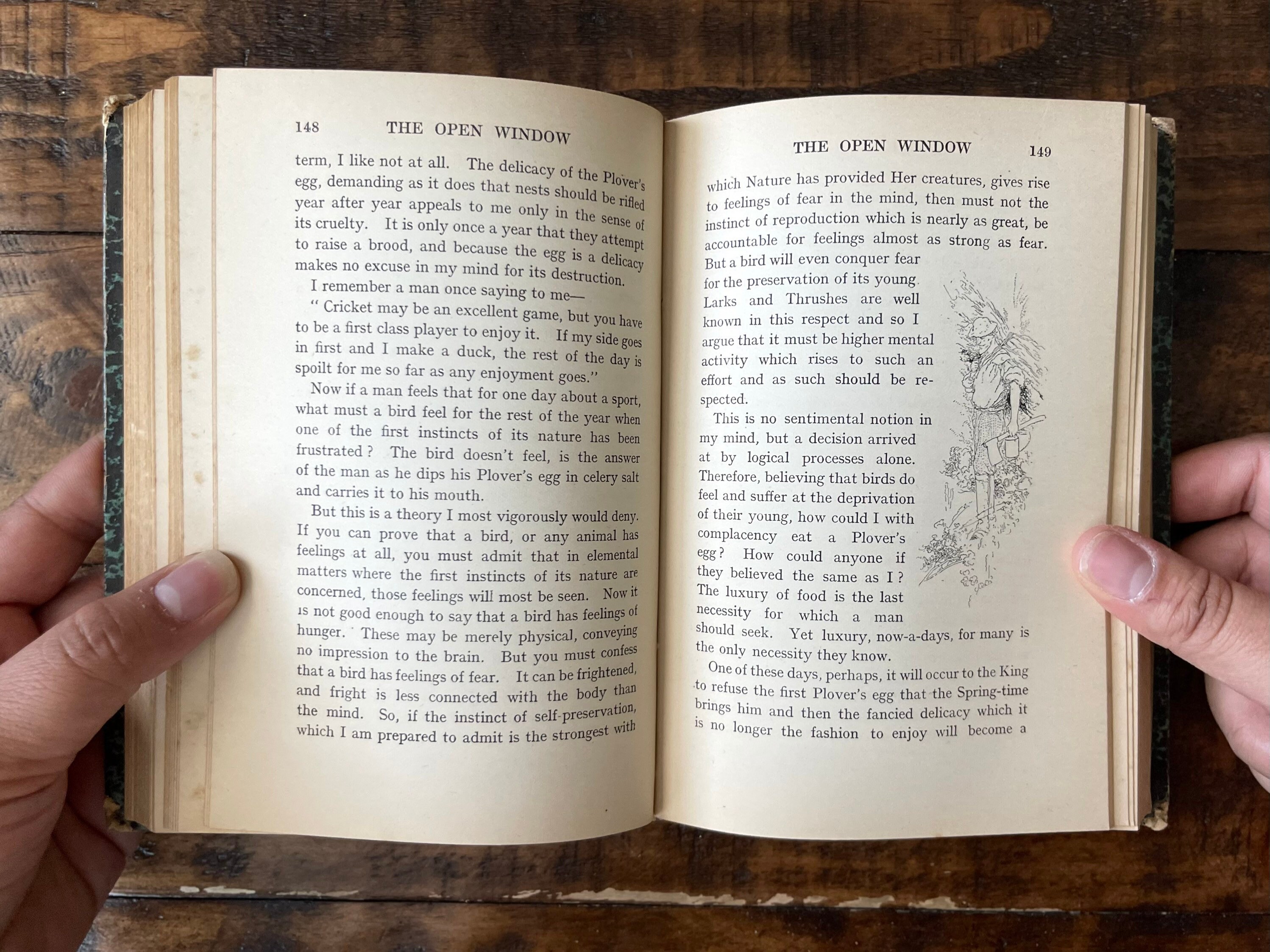 1913 the Open Window by E. Temple Thurston Small Antique - Etsy