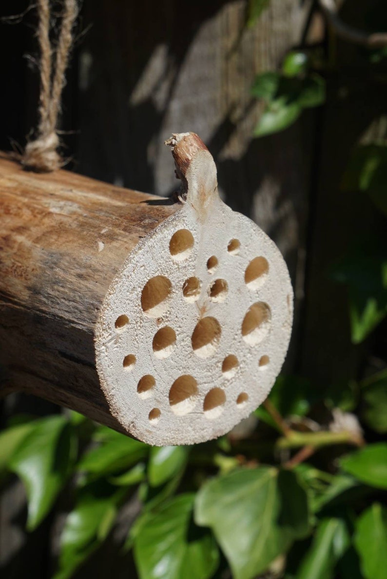 Handmade Wooden Bee Log / Bug Log / Bee Hive / Reclaimed Wood - Etsy