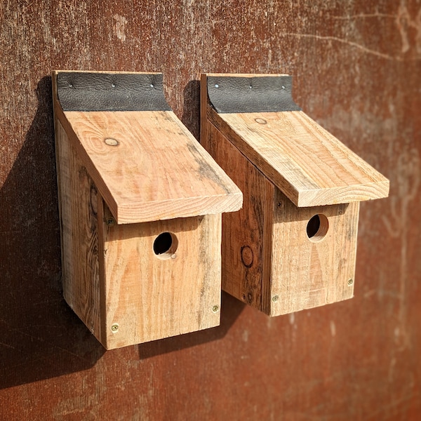 Bird Box - Etsy UK