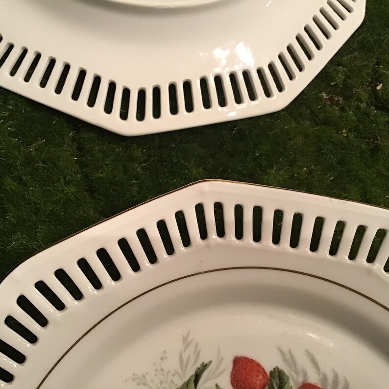 Two Beautiful Schwarzenhammer Plates - Etsy