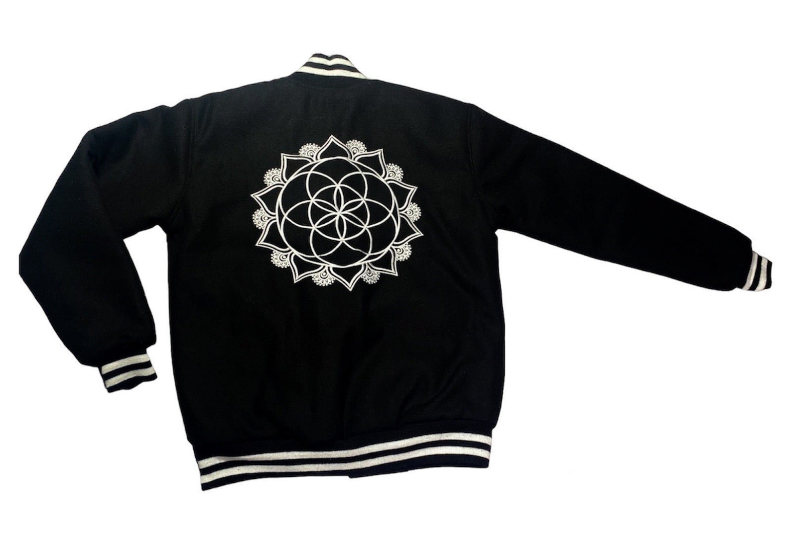 The Sacred Evolution Varsity Jacket - Etsy
