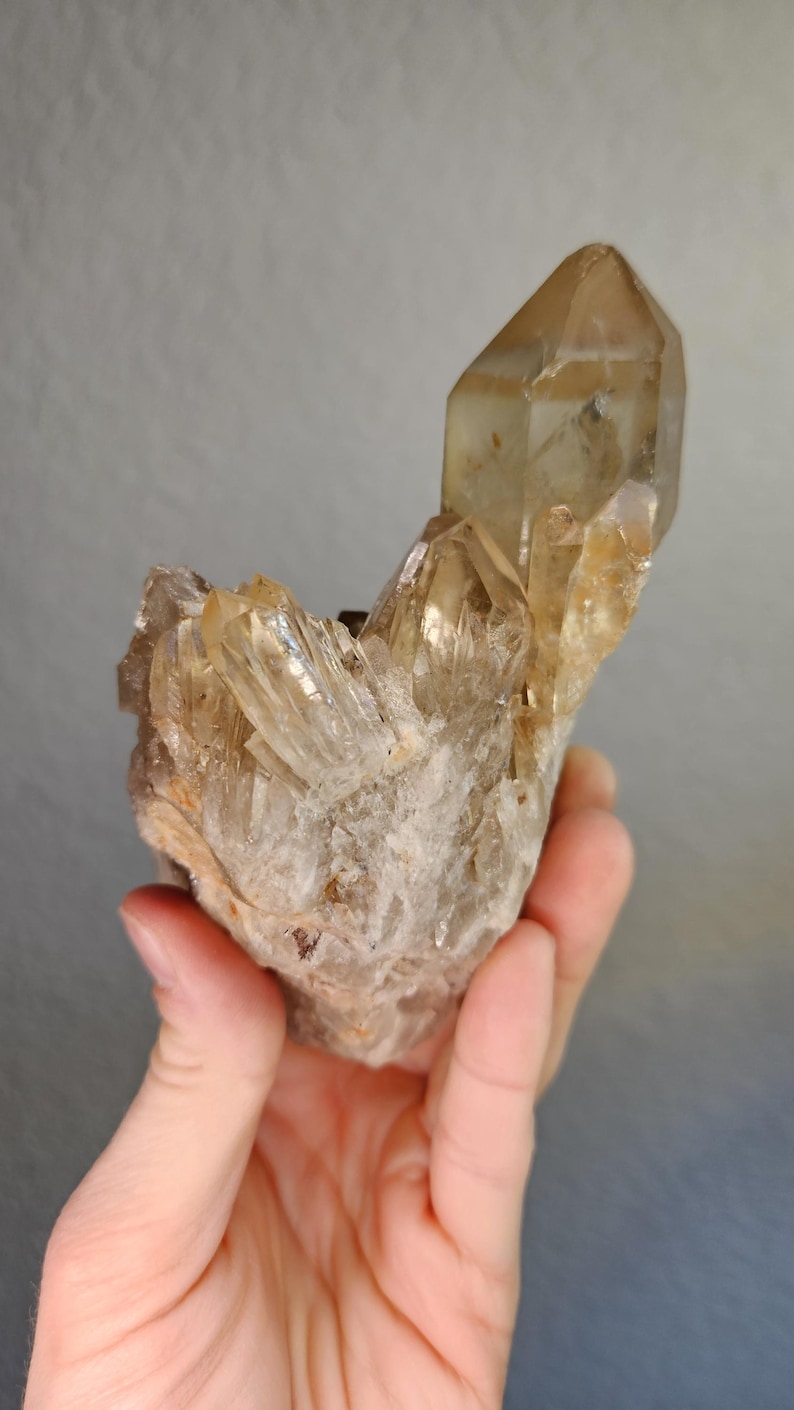 Natural Congo Citrine Crystal Cluster – Raw Citrine Quartz Point With ...