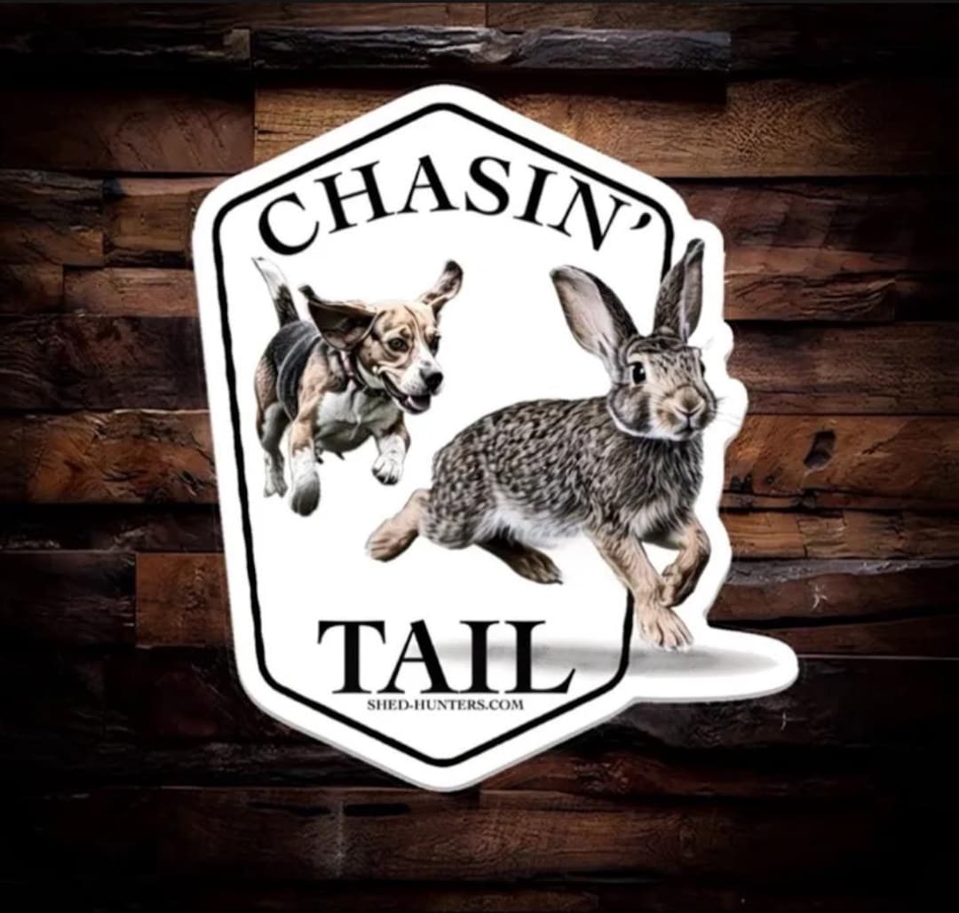 Rabbit Hunter Chasin Tail Sticker - Etsy