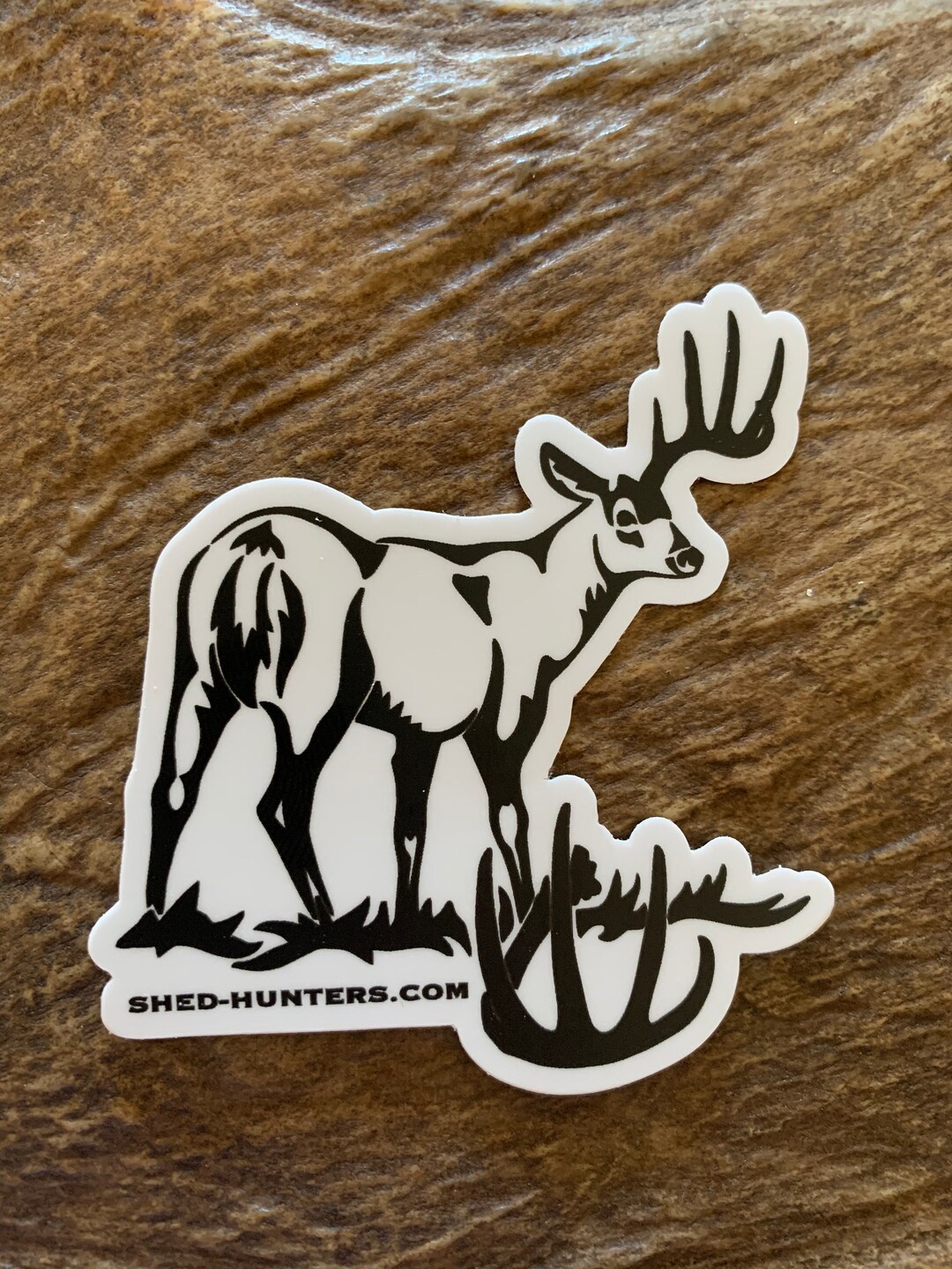 Shed Hunting Whitetail Deer Big Buck Antler Vinyl Decal - Etsy