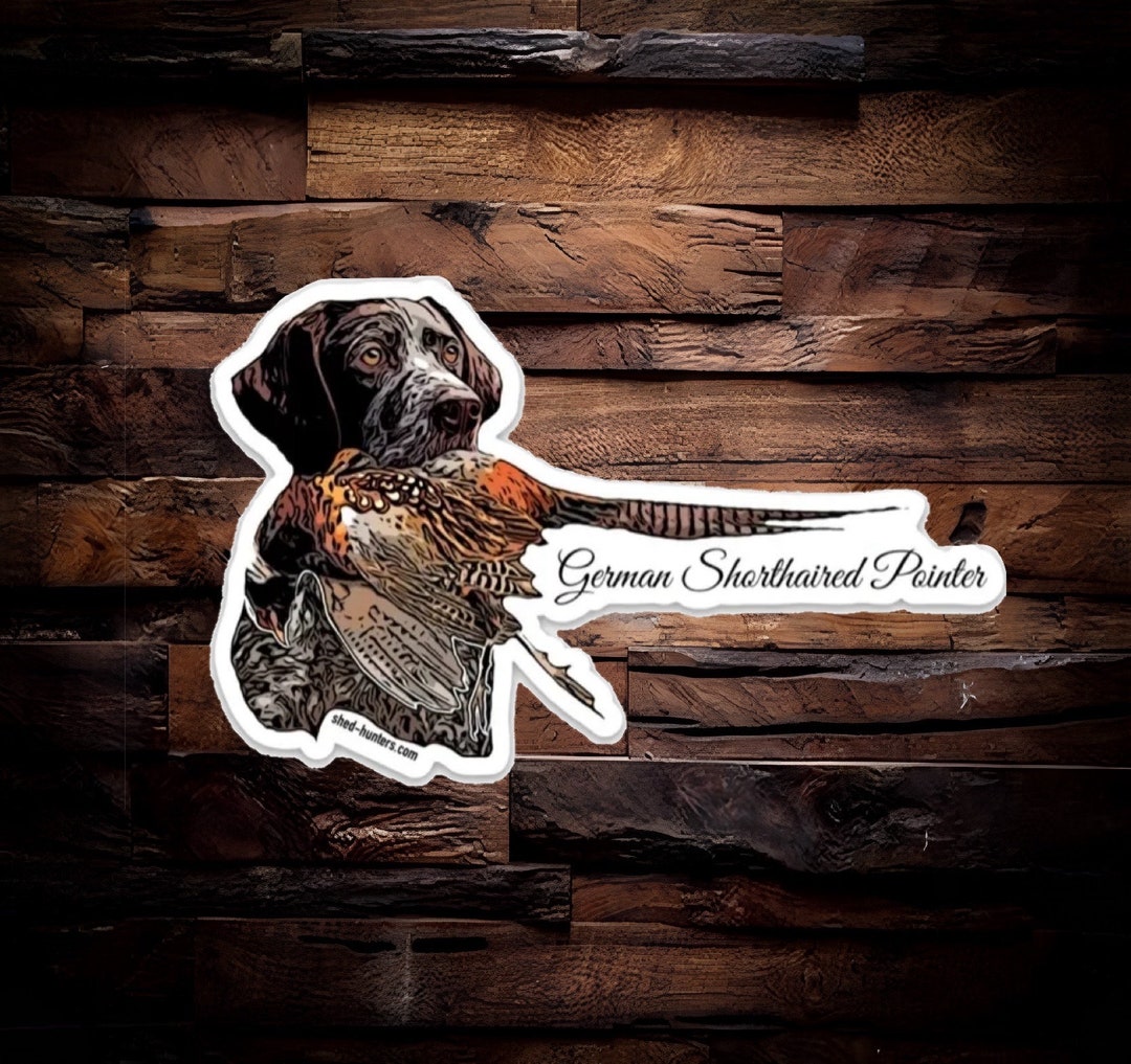 German Shorthair Pointer Upland Bird Dog Pheasent Hunting Sticker - Etsy