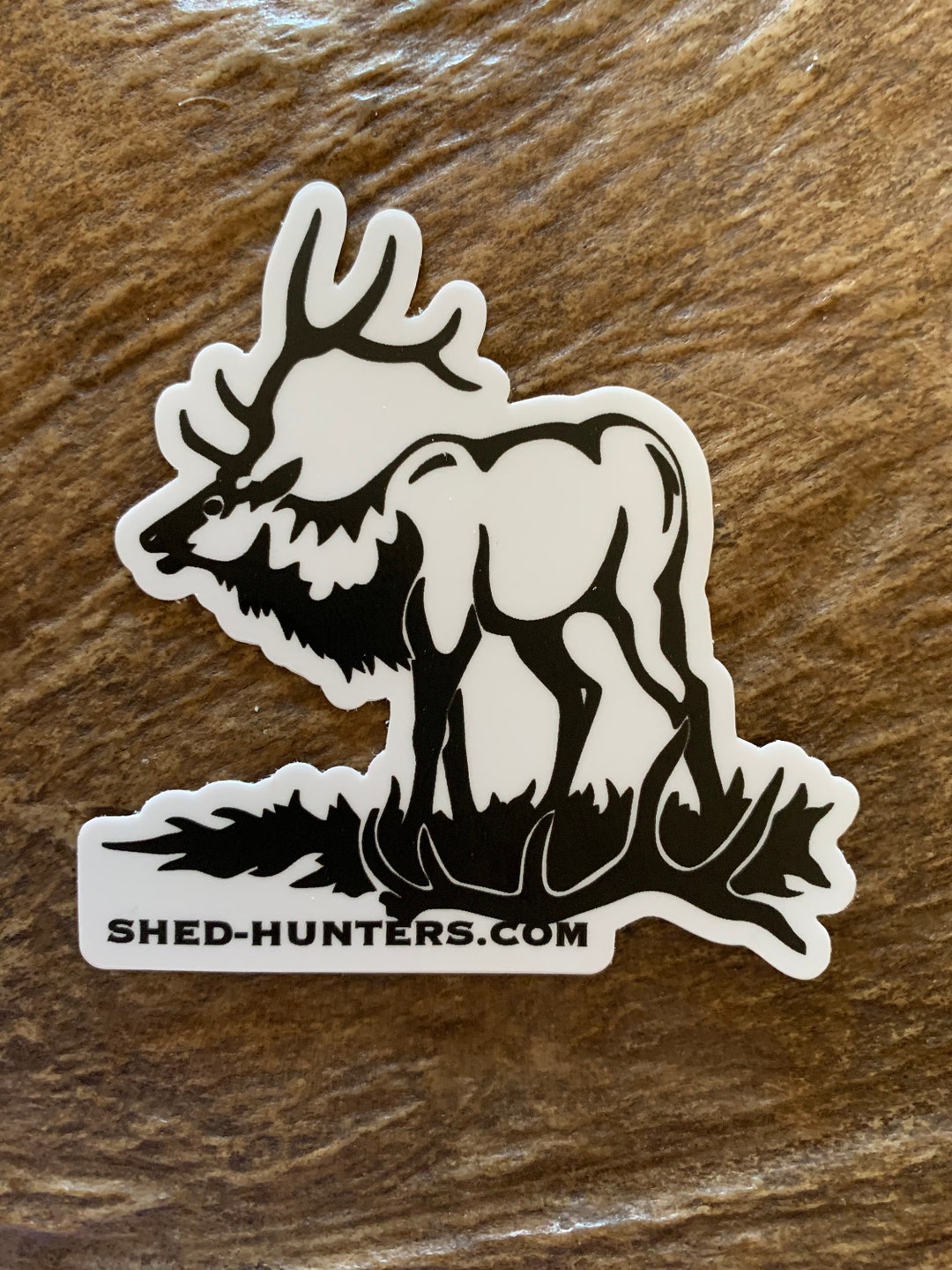 Elk Shed Antler Decal - Etsy