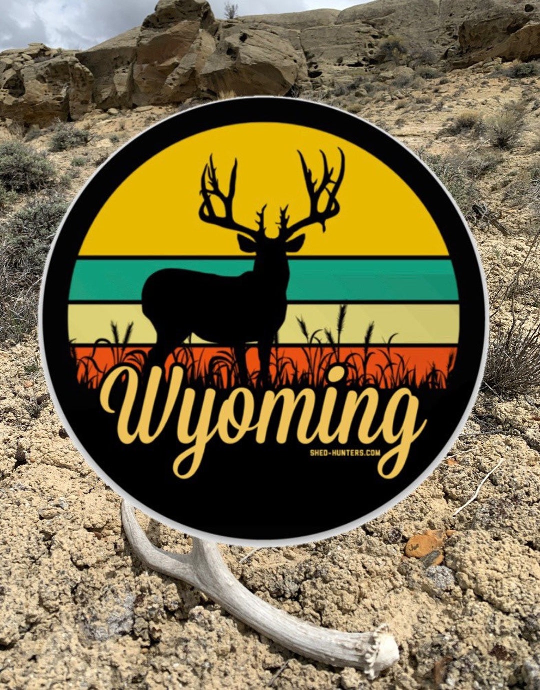 Wyoming Retro Muley Sticker - Etsy