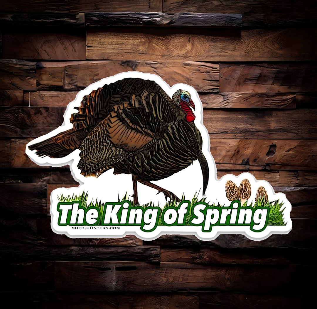 Wild Turkey King of Spring Morel Mushroom - Etsy