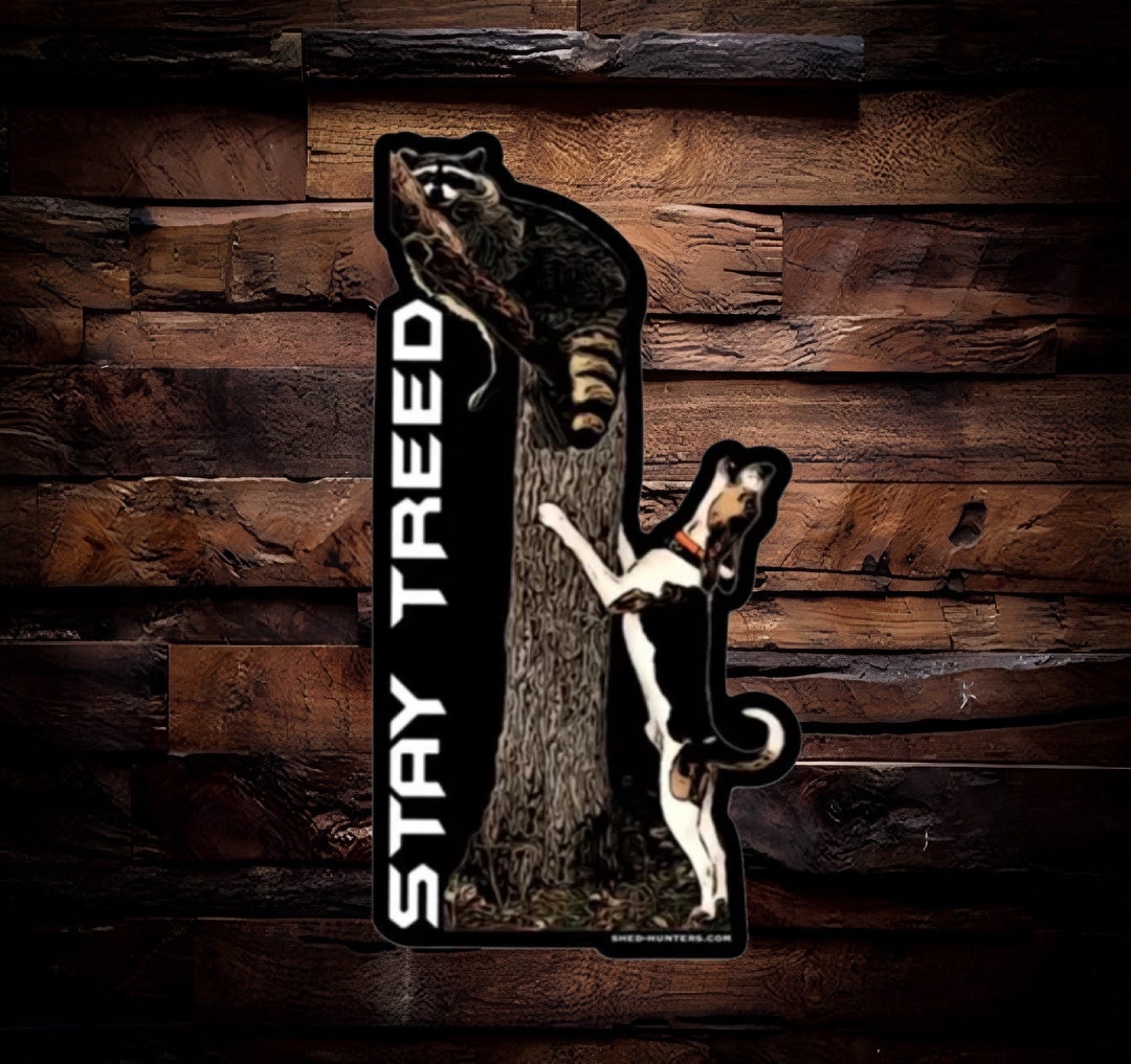 Stay Treed Coon Hound Hunter Gun Dog Hunting Sticker - Etsy