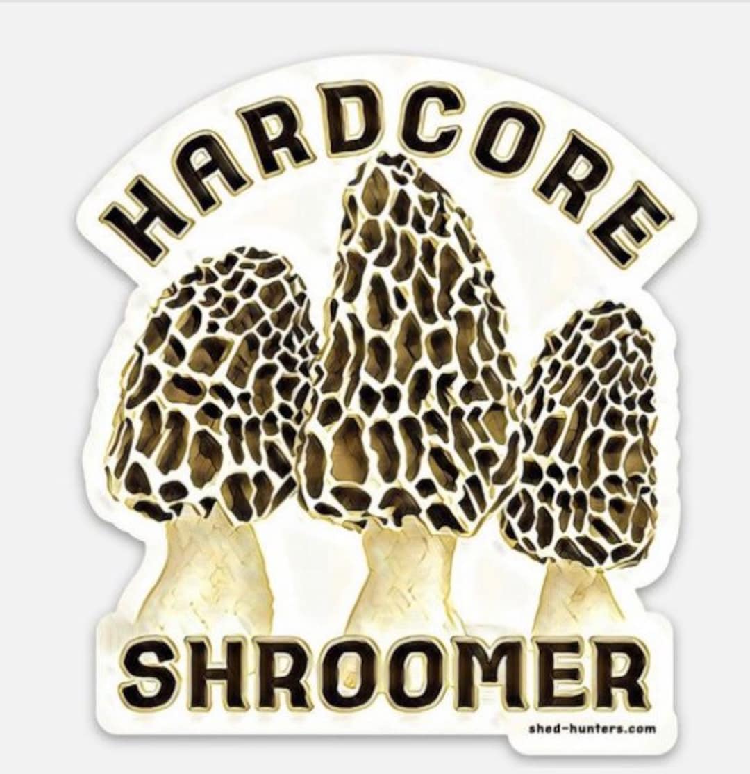 Morel Mushroom Sticker - Etsy