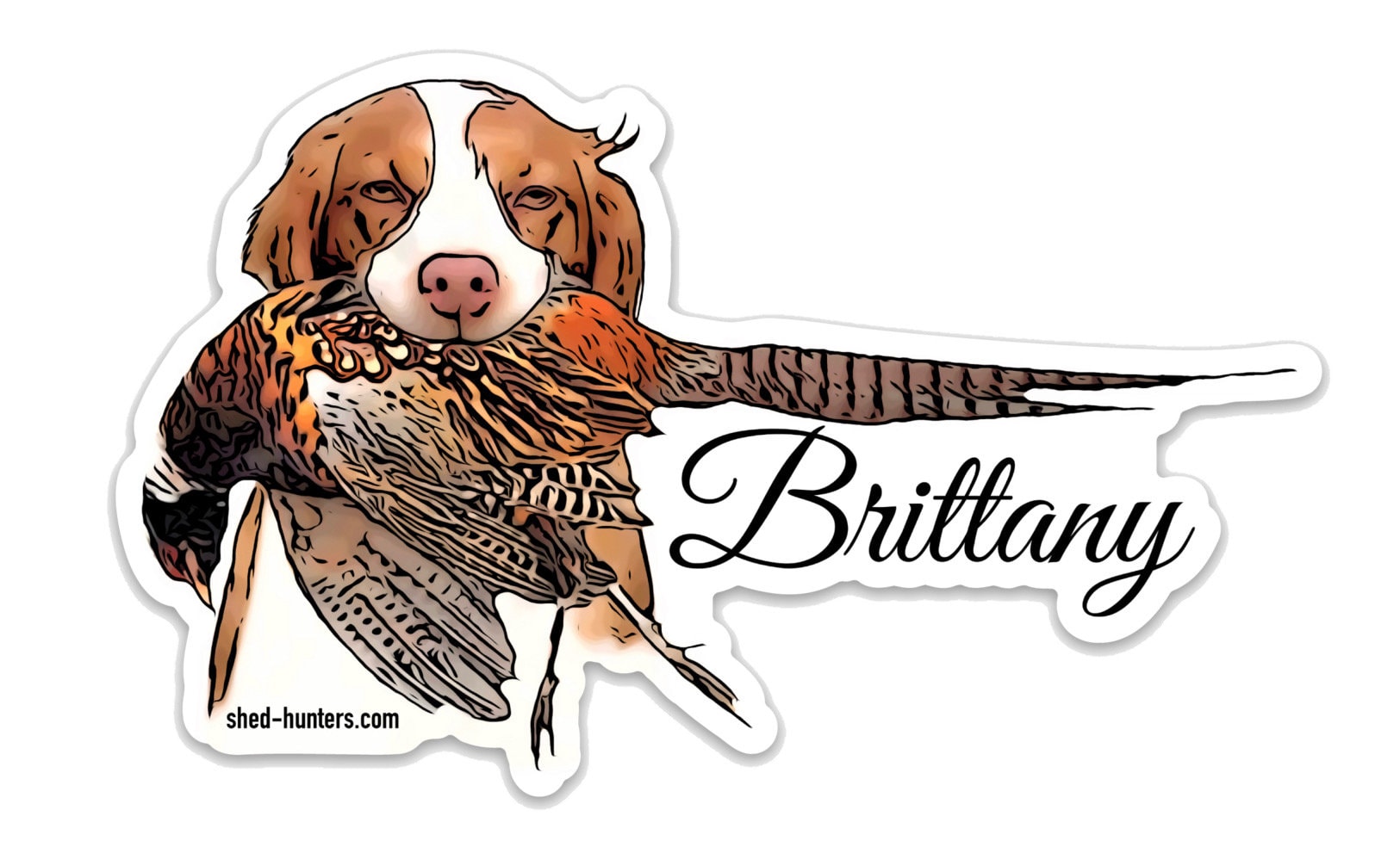 Brittany Upland Bird Dog Pheasent Hunting Sticker - Etsy