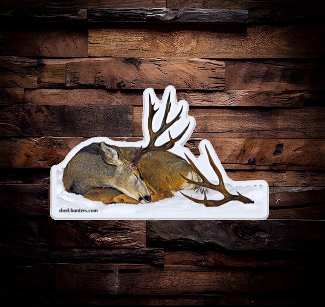 Mule Deer Shed Antler Decal - Etsy