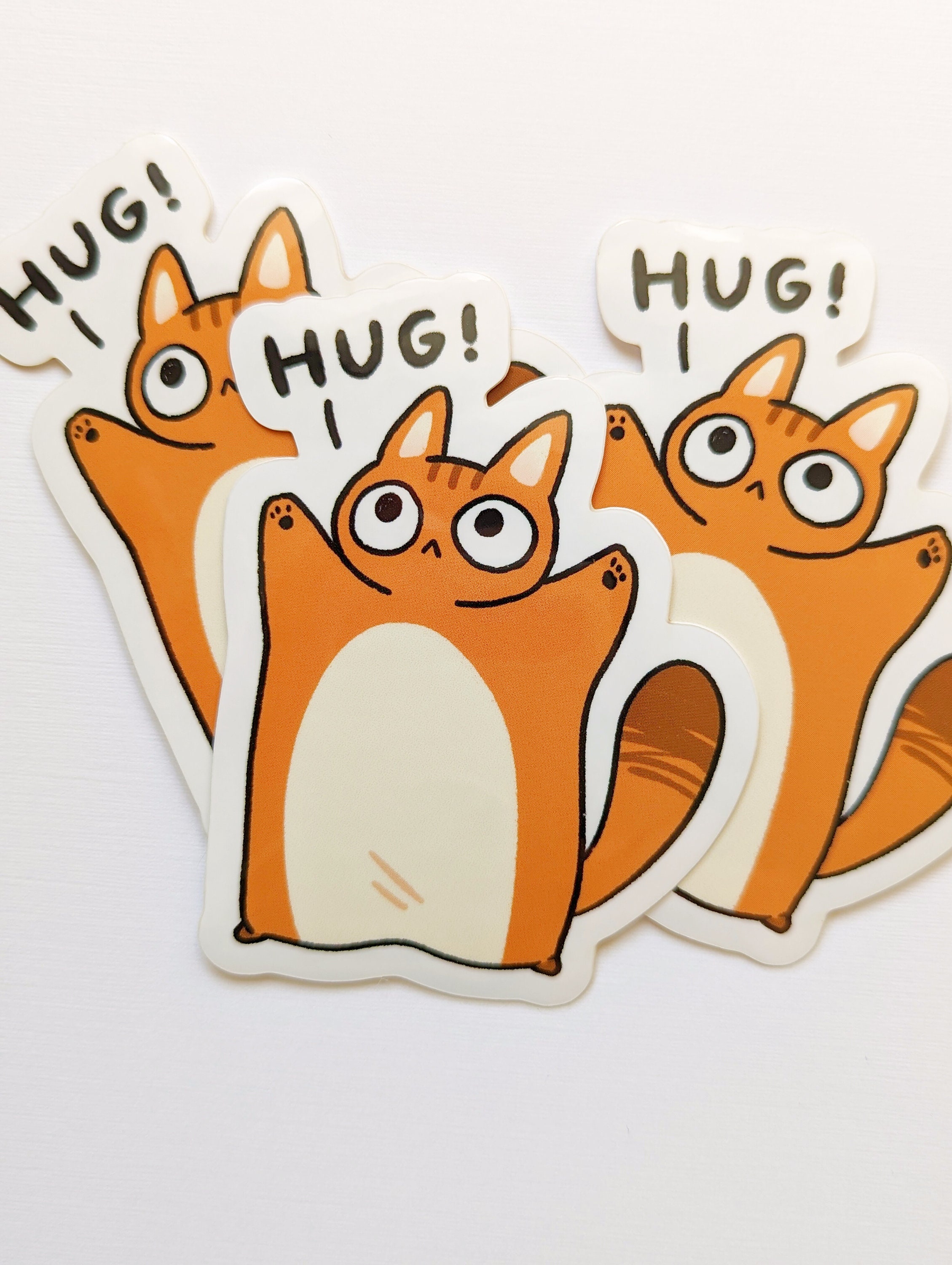 Süße Hug Critter Eichhörnchen Waschbär Sugar Glider Animal - Etsy.de