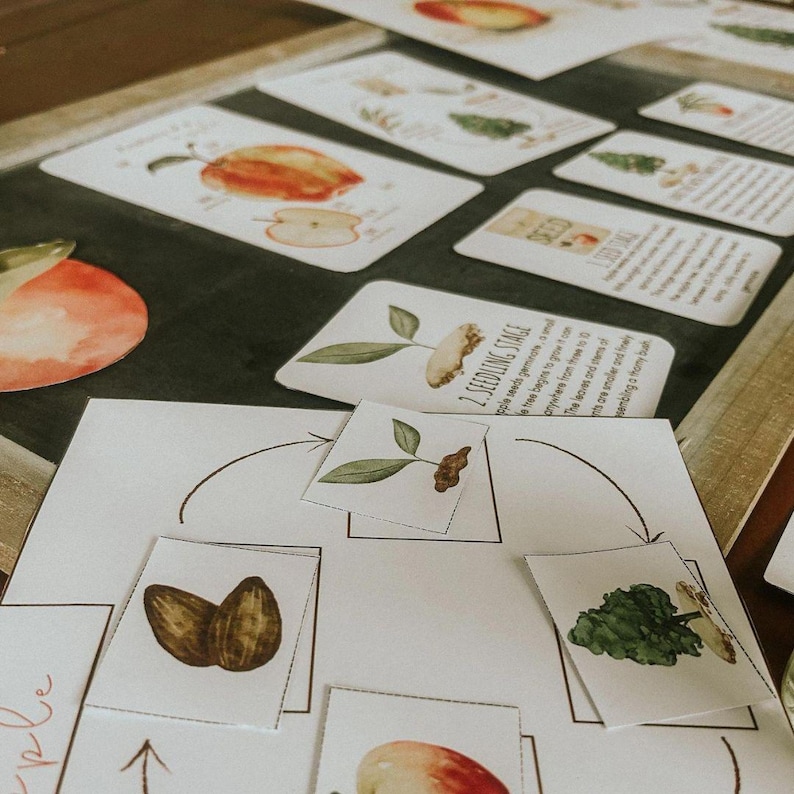 APPLE Mini Study | Fall Homeschool Curriculum | Autumn Learning Unit ...