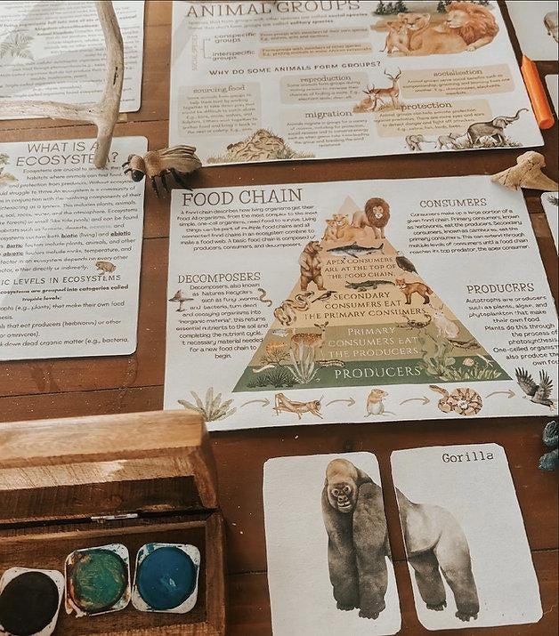 Animal Classification Study Pack | Homeschool Science Worksheets ...