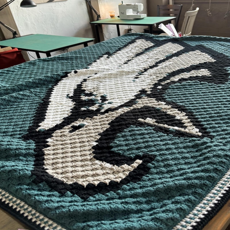 Philadelphia Eagles Crochet Patterns - Etsy
