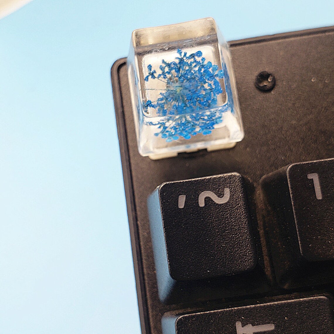Custom Keycaps Royal Blue Flower Transparent Resin Keycaps - Etsy