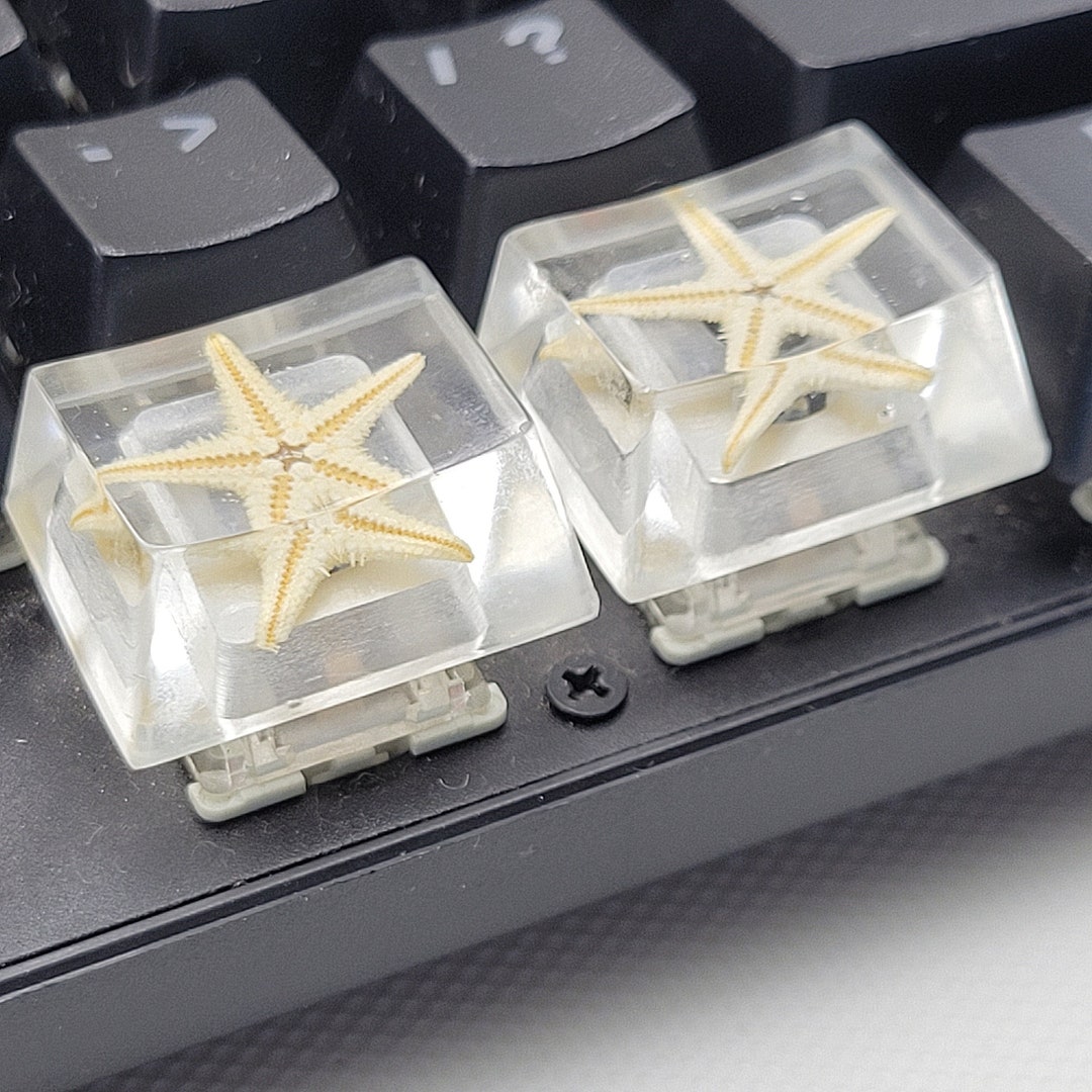 Key Cap White Starfish Resin Keycap Marine Cap Stars Key - Etsy